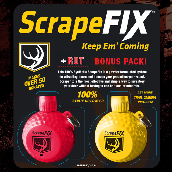 ScrapeFix Combo Kit