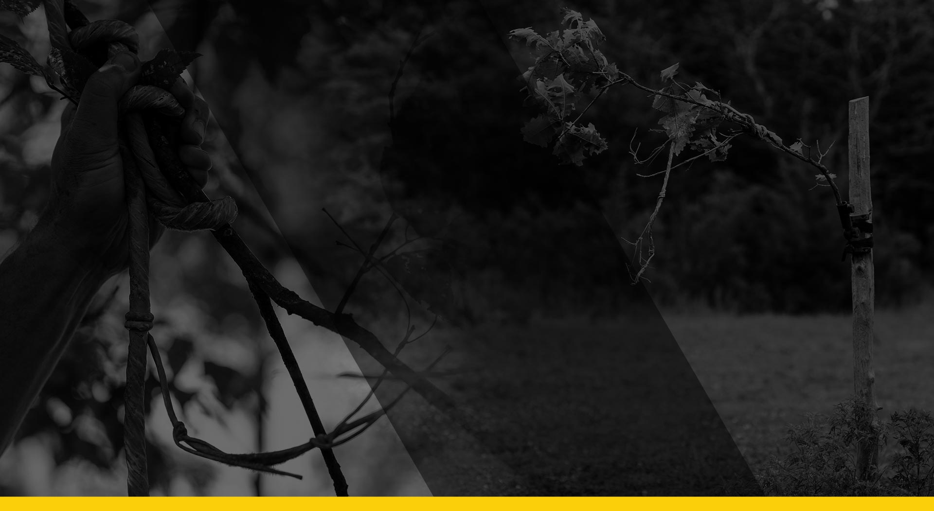 ScrapeFix The Powder of Attraction!